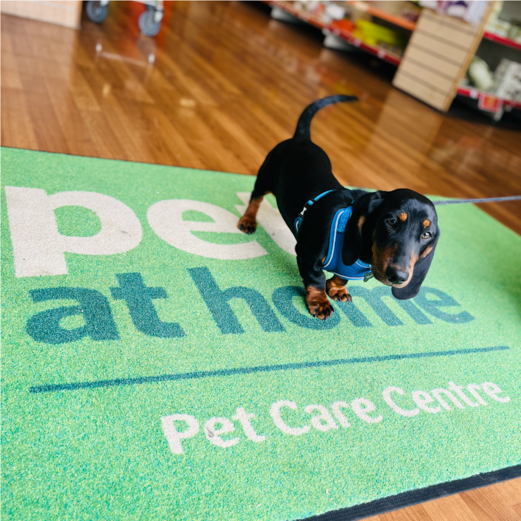 Pets at Home – Sprucefield Shopping Centre